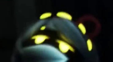 How are your rizz skills? | Fandom