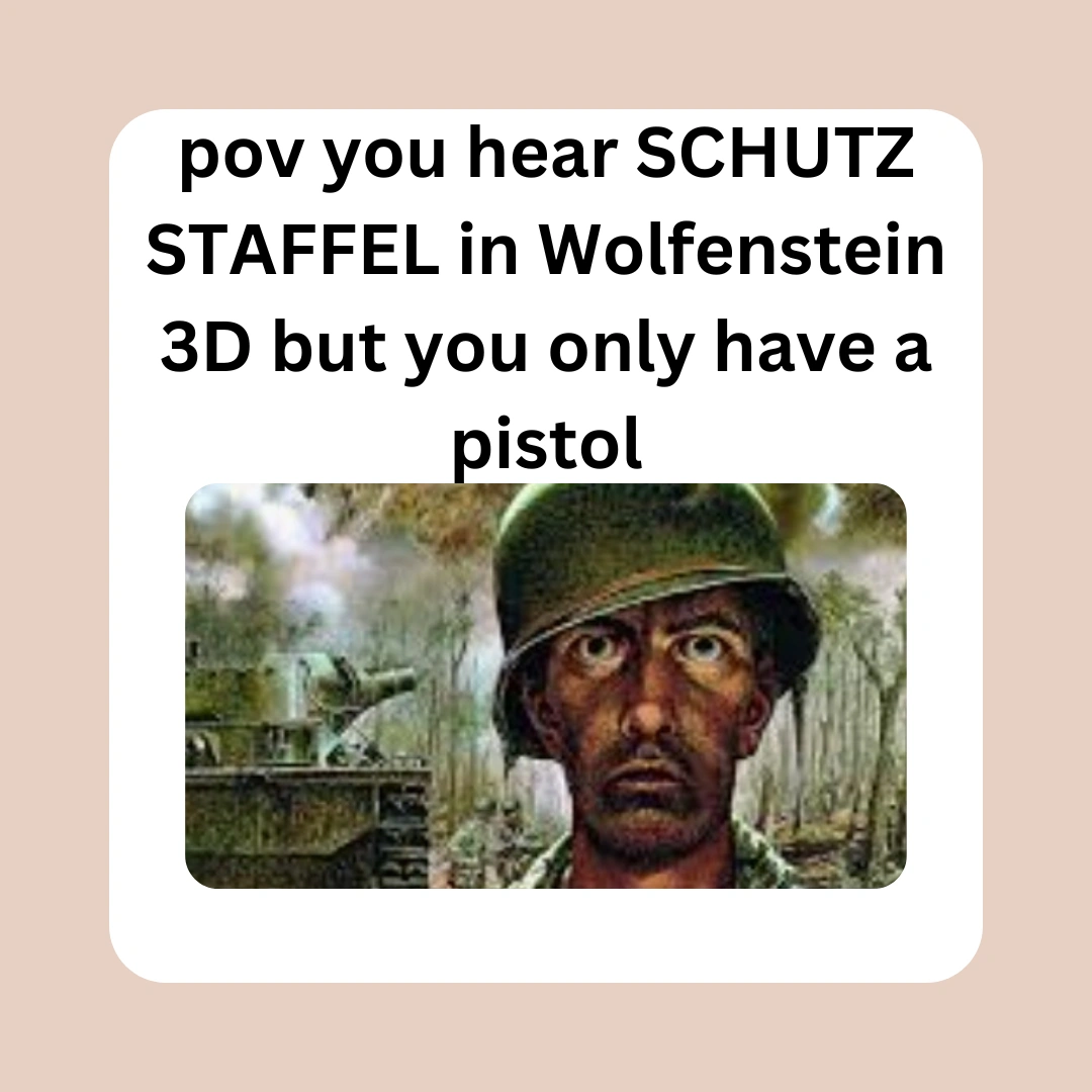 WOLFENSTEIN 3D meme because yes | Fandom