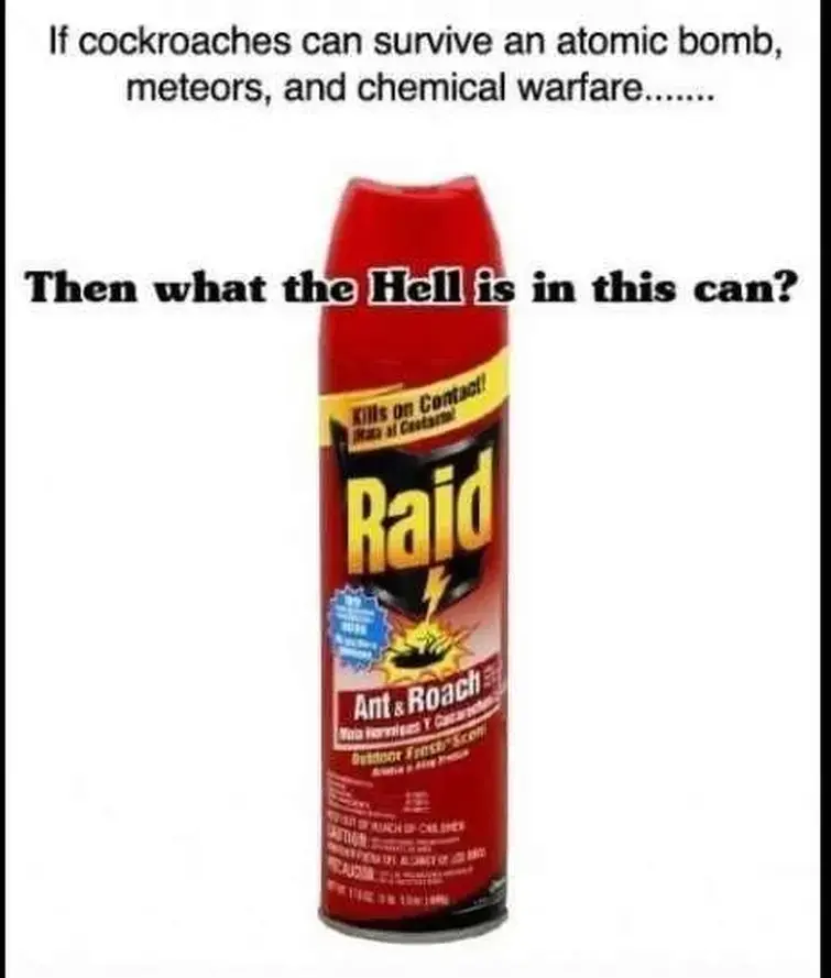 Here, take this image, it may help you on your journey | Fandom