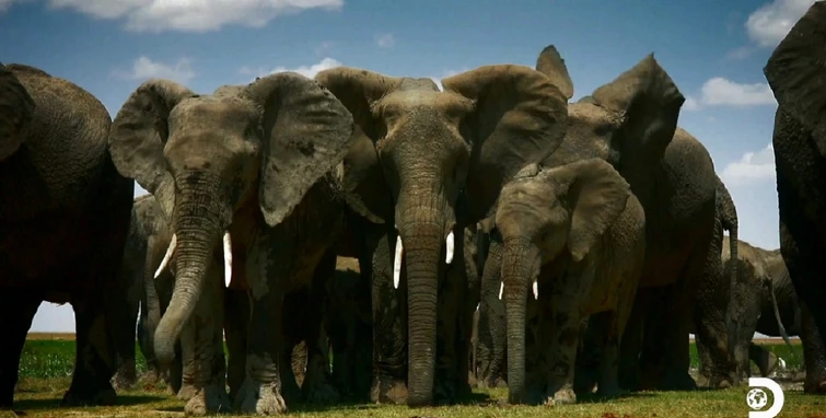 Discuss Everything About Dreamworks Animation Wiki | Fandom