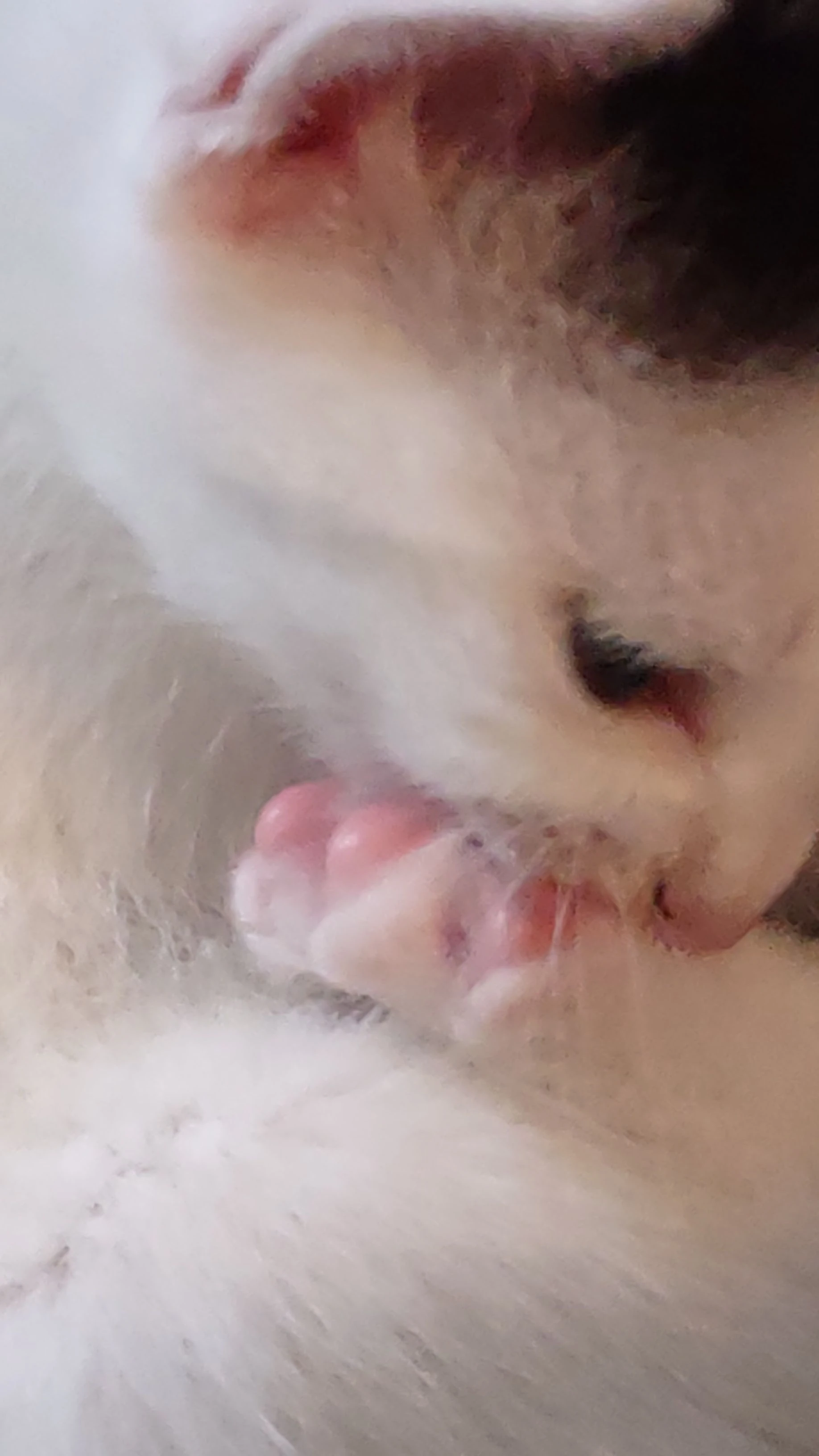 Munch, yummy toes | Fandom