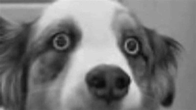 WHY DID SIGMATROX HAVE COMEOUT RIGHT AFTER I GOT AER AND FINISHED MY ...