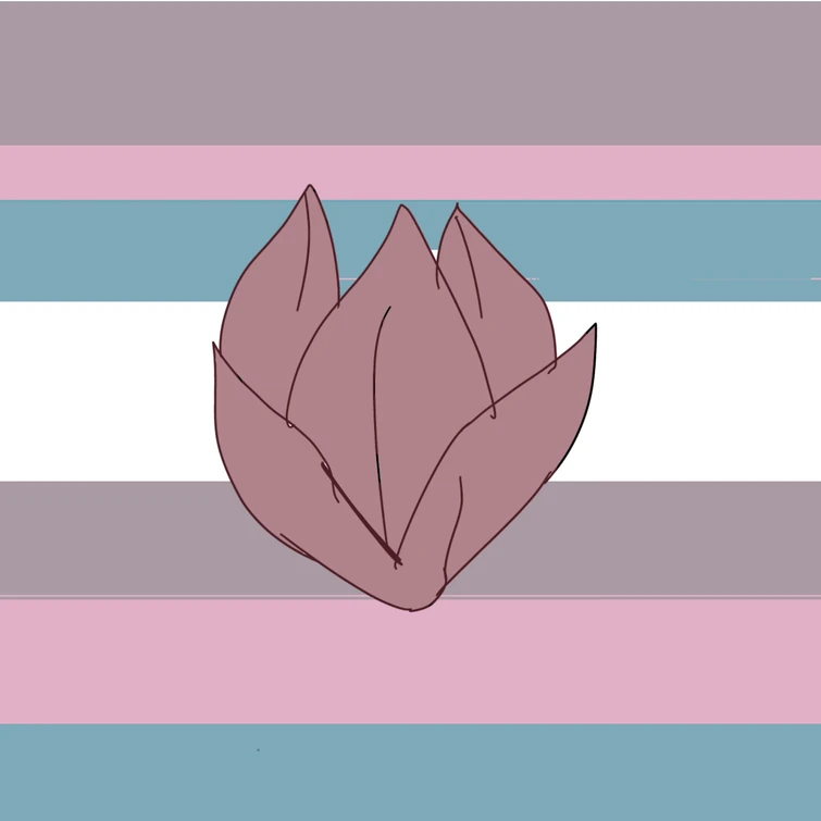 More aesthetic flags | Fandom