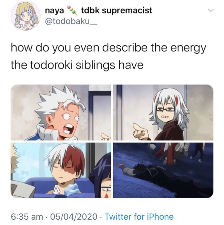 The Todoroki siblings | Fandom