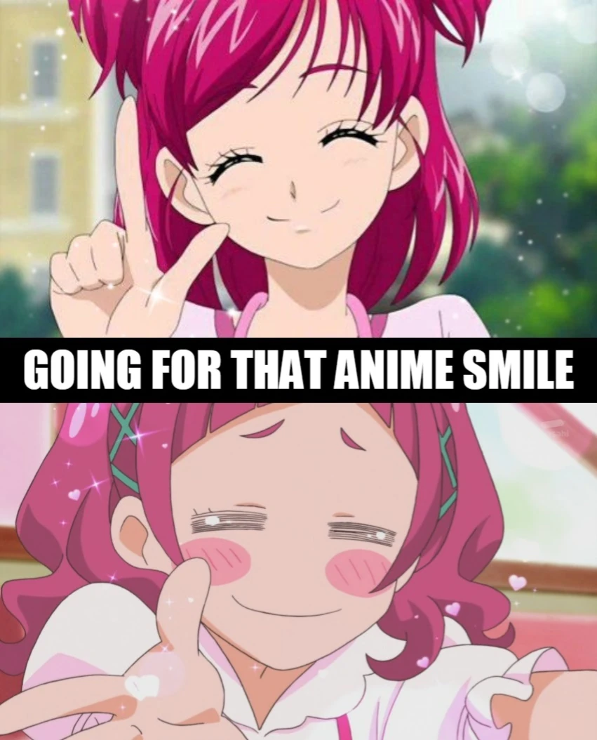 PreCure Memes #35 | Fandom