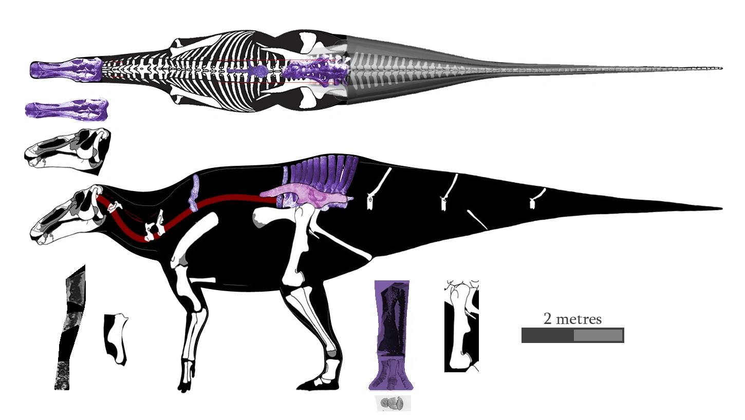 Shantungosaurus is 20.5 tonnes now | Fandom