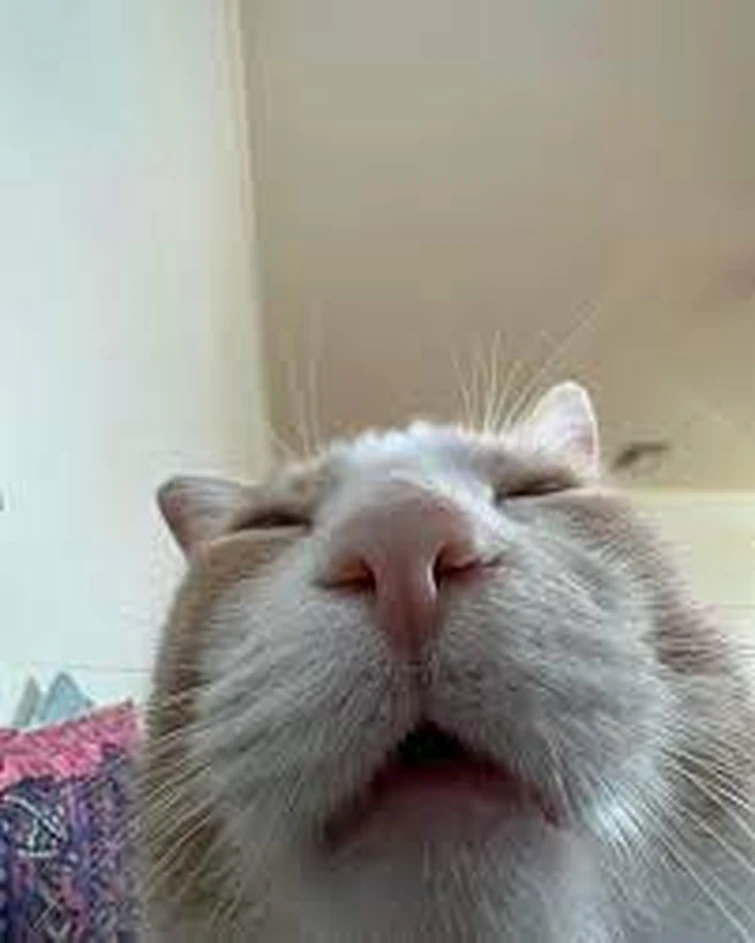 this is me irl :3 if you even care... | Fandom