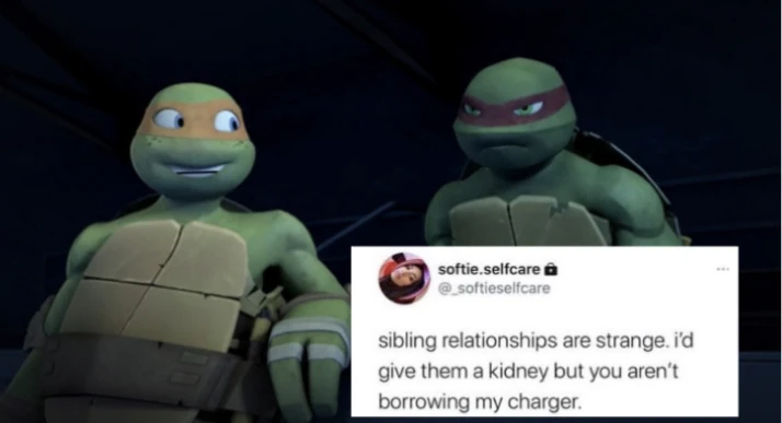 TMNT Meme Of The Day | Fandom