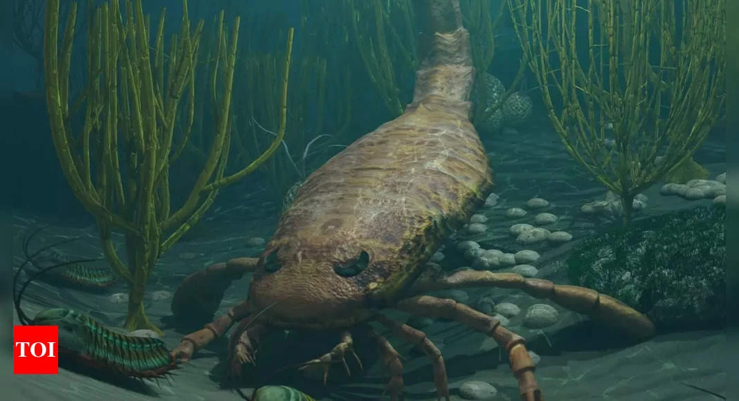 Larger than human Sea Scorpions ! 0_0 | Fandom