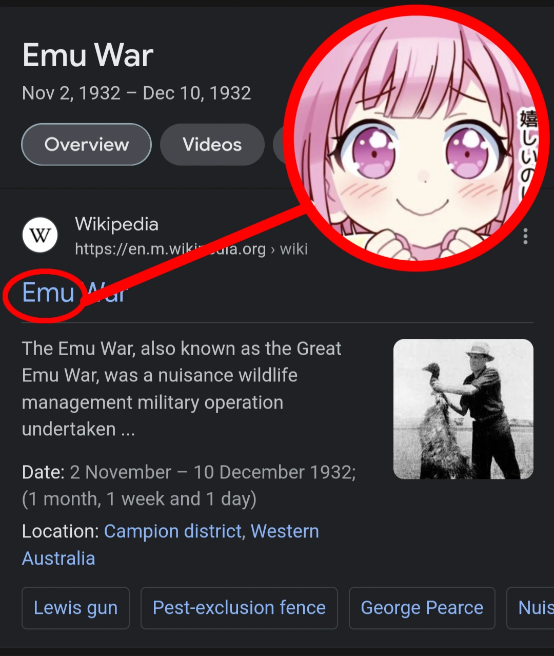 The great emu war or smth idk | Fandom
