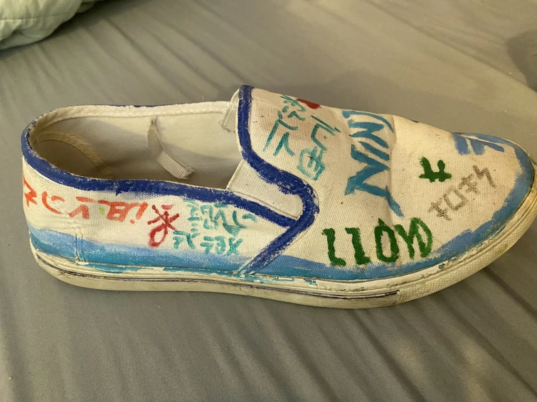 Ninjago shoes! | Fandom