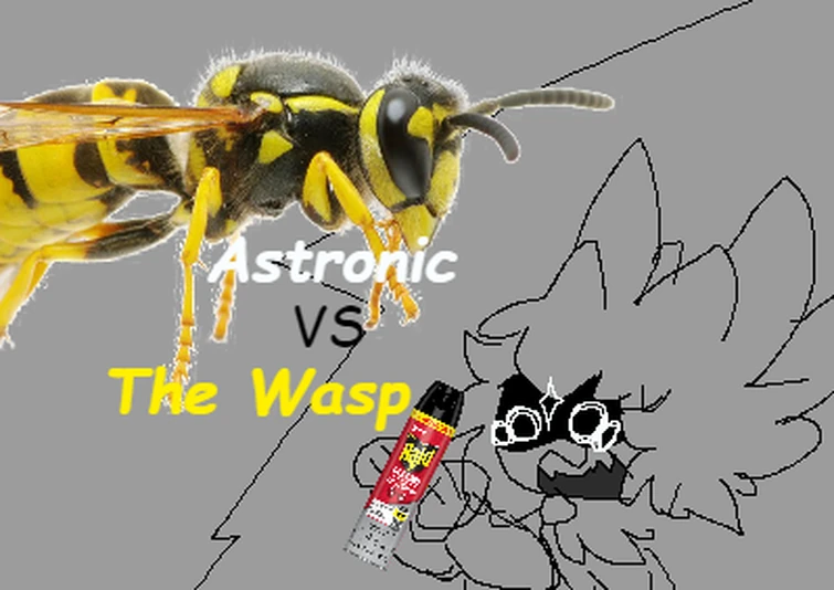 ughghghg i hate wasps | Fandom