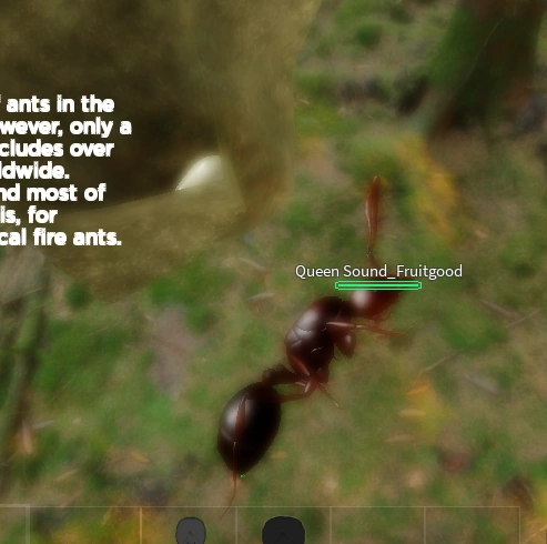 I was carpenter. and i thought the alate carpenter killed me. and i see ...