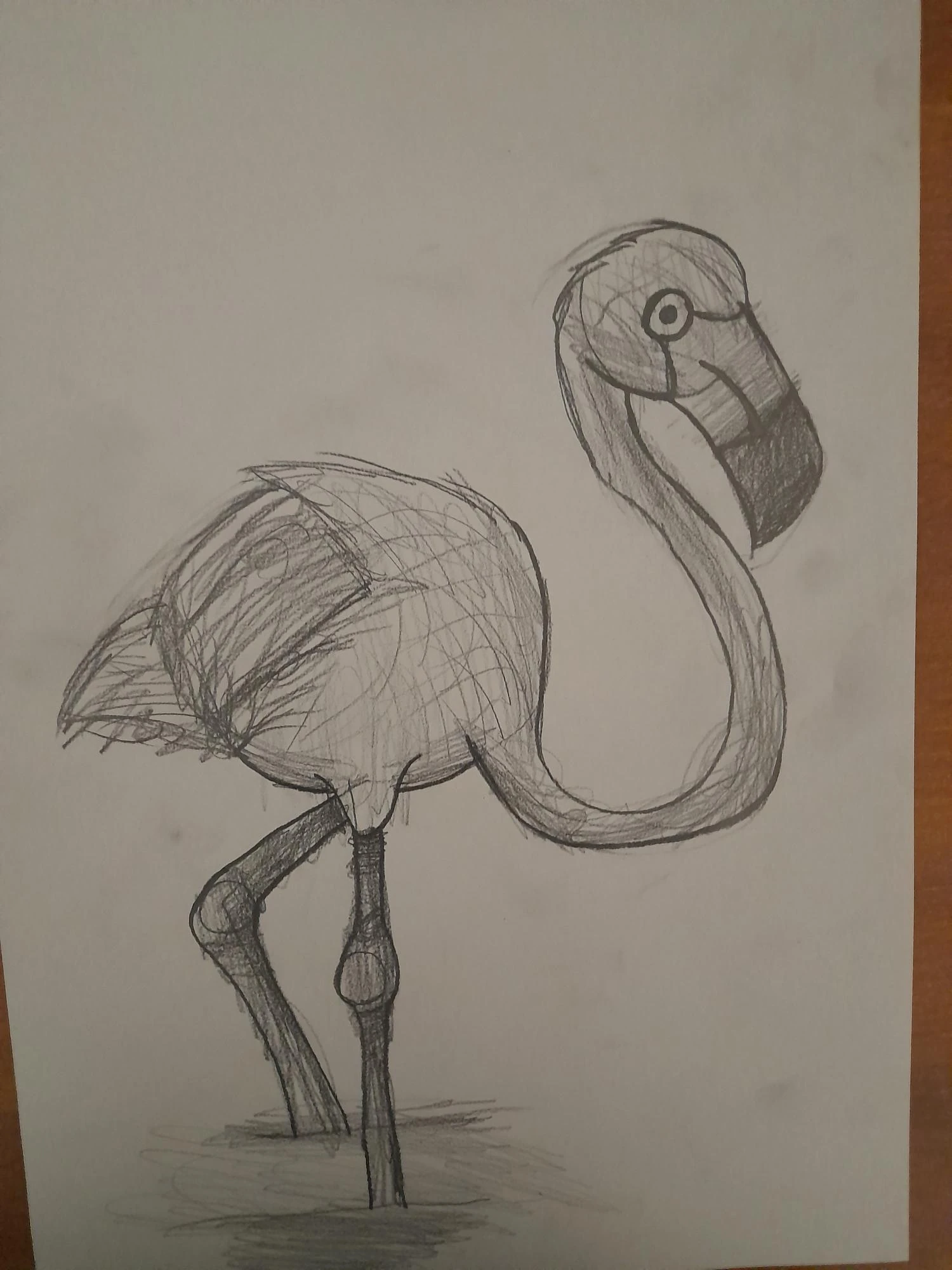My sketch of a Flamingo | Fandom