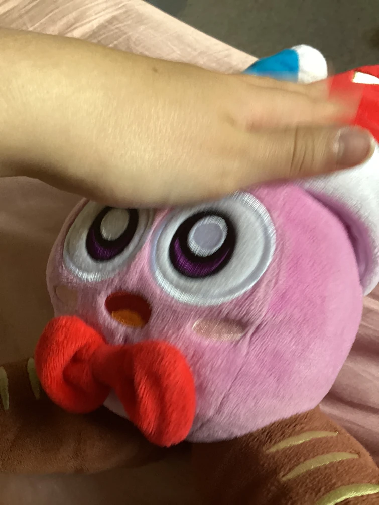 Petting wars the 4th | Fandom