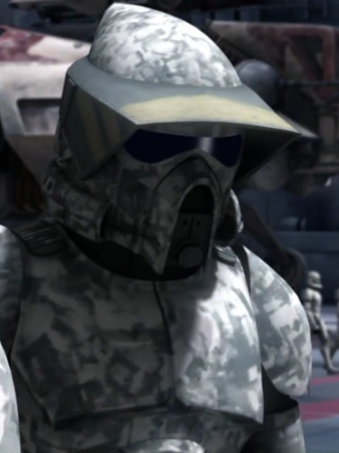 Unidentified Advanced Recon Force trooper commander | Clone Wiki | Fandom