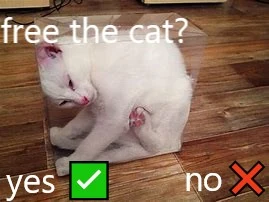 free the cat???? | Fandom