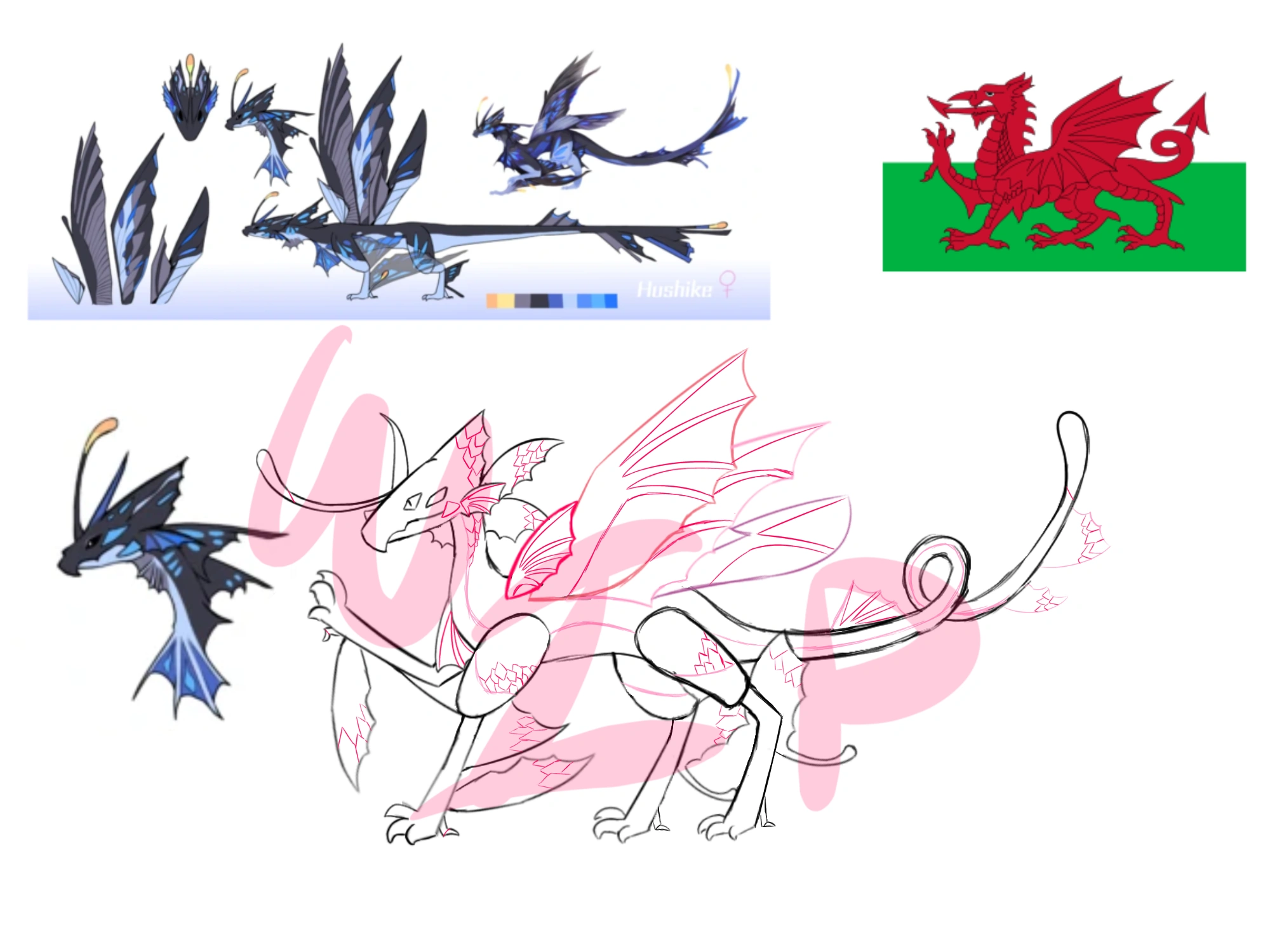 welsh hushike | Fandom