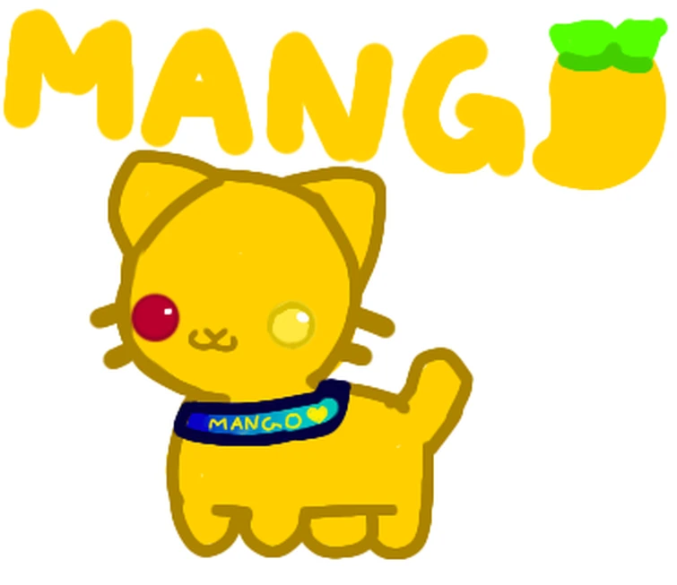 Mango the kitty 😻 | Fandom