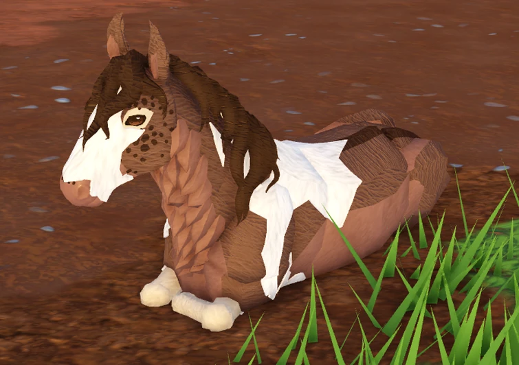 the perfect horse doesn't exis---- | Fandom