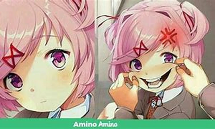 All the natsuki memes I got on my pc | Fandom