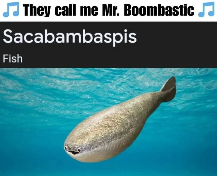 General Discussions Thread | Fandom