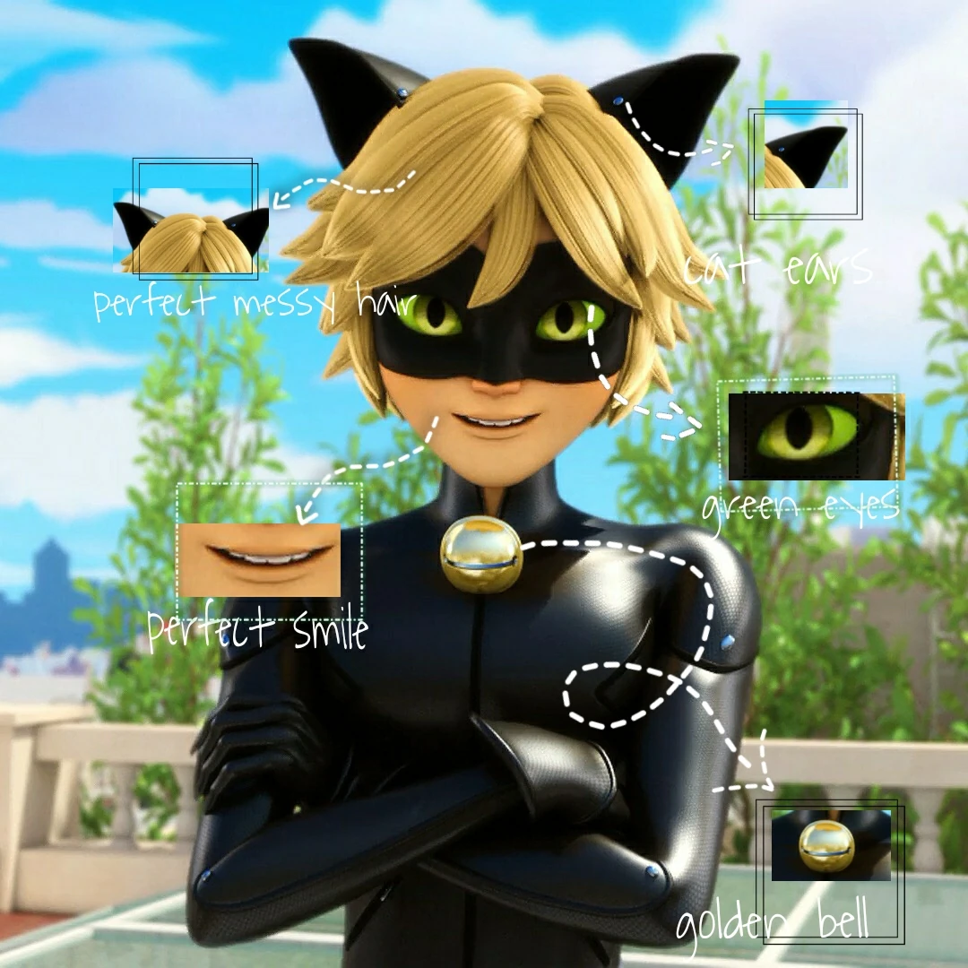 Chat noir edit🖤 | Fandom