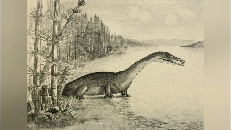 underrated af | Fandom