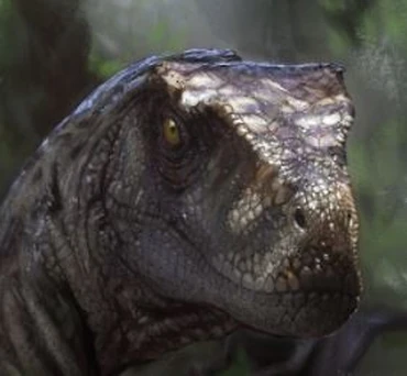 Raptor Fight | Fandom