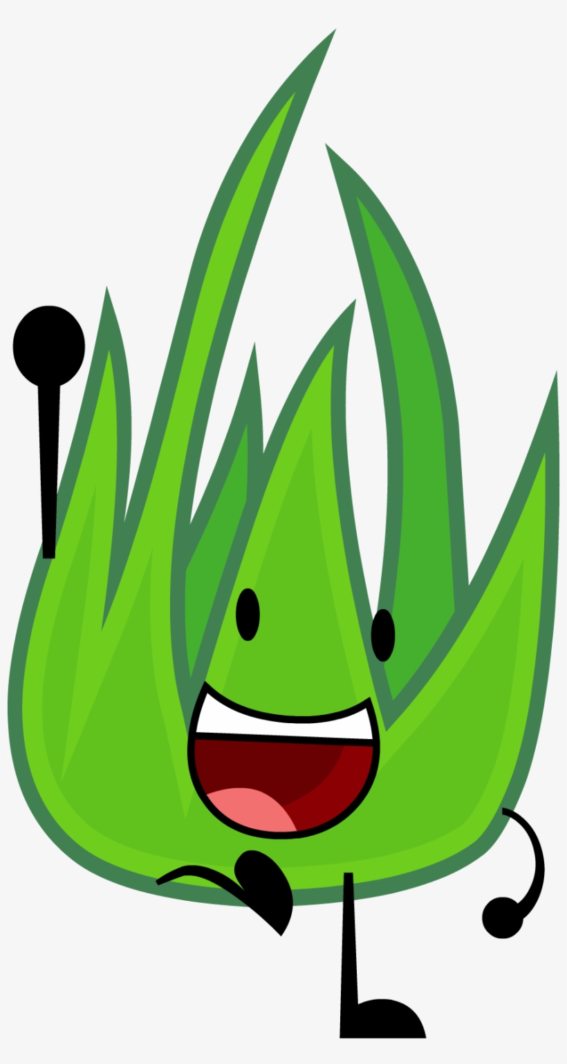Im Grassy Is My Birthday Fandom