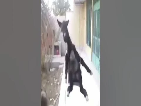 me when the | Fandom