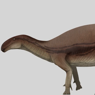 Discuss Everything About Dinopedia | Fandom