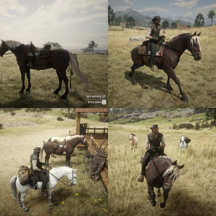 Old Boy in the Epilogue?! | Fandom