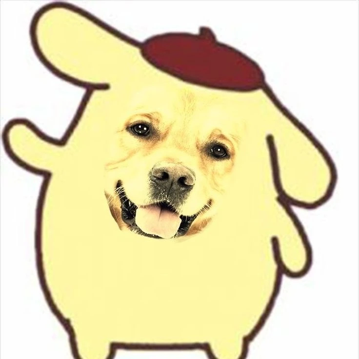 That's not pompompurin that's pipe cleaner yogurt | Fandom