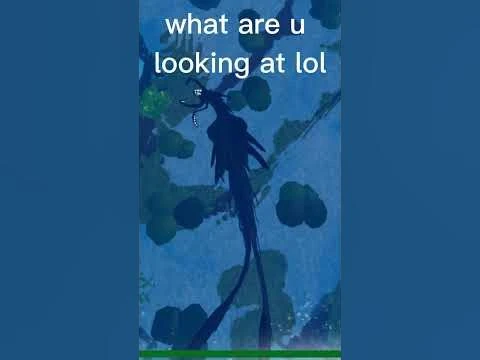 what are u looking at lol | Fandom