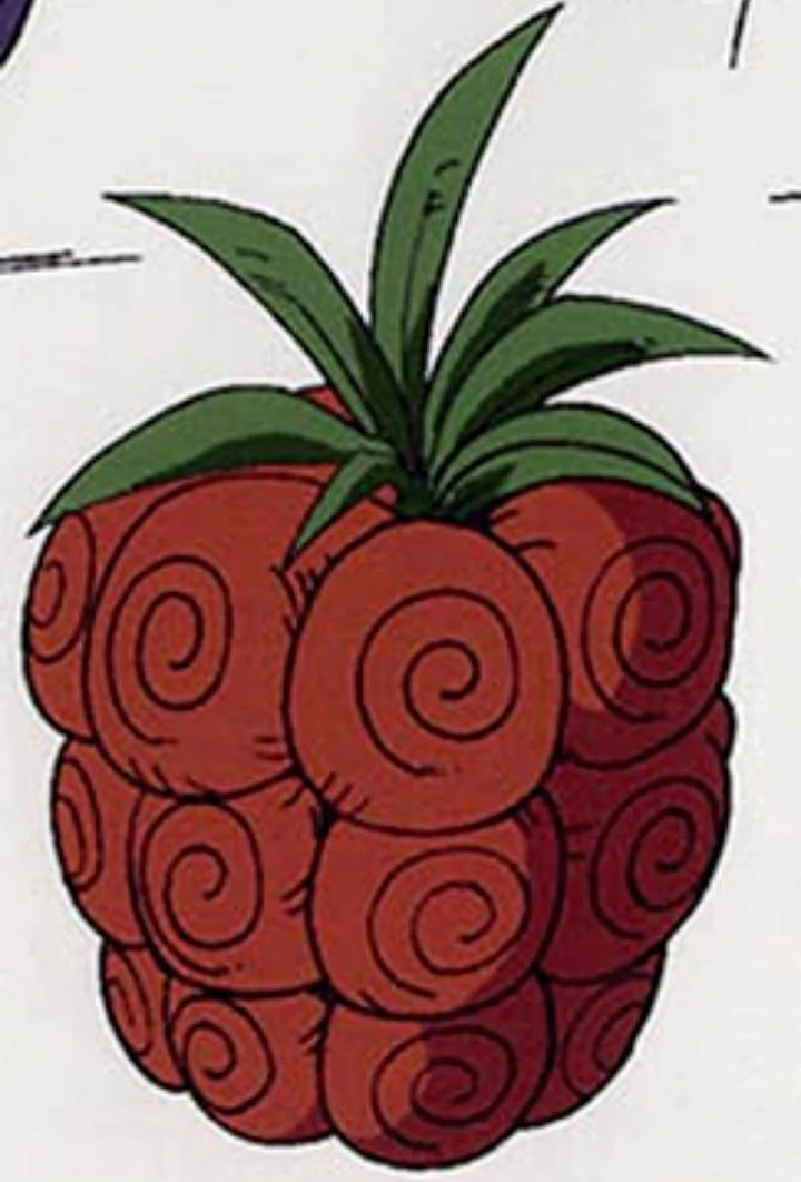 LA FRUTA Bara Bara no mi | Fandom
