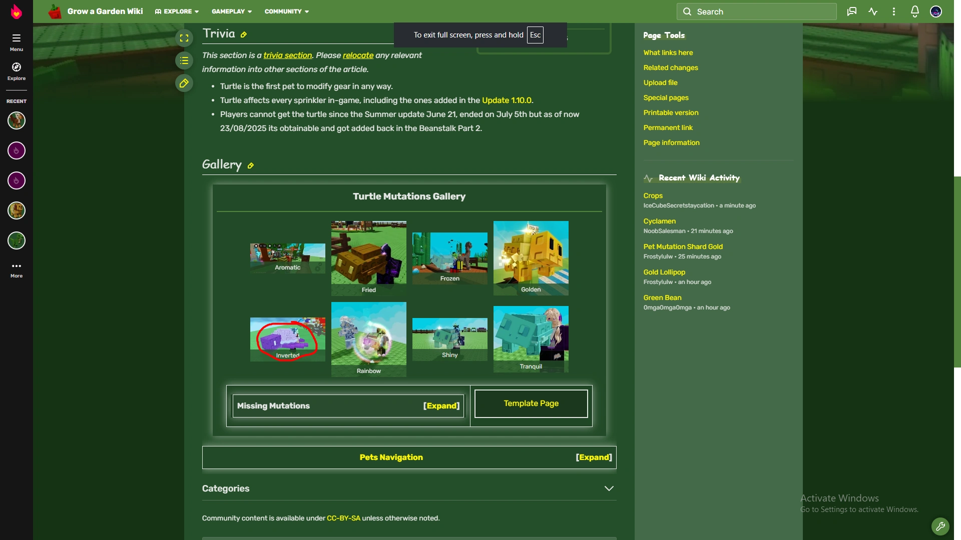 isn't this a sea turtle? | Fandom