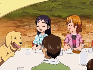 Discuss Everything About Pretty Cure Wiki | Fandom