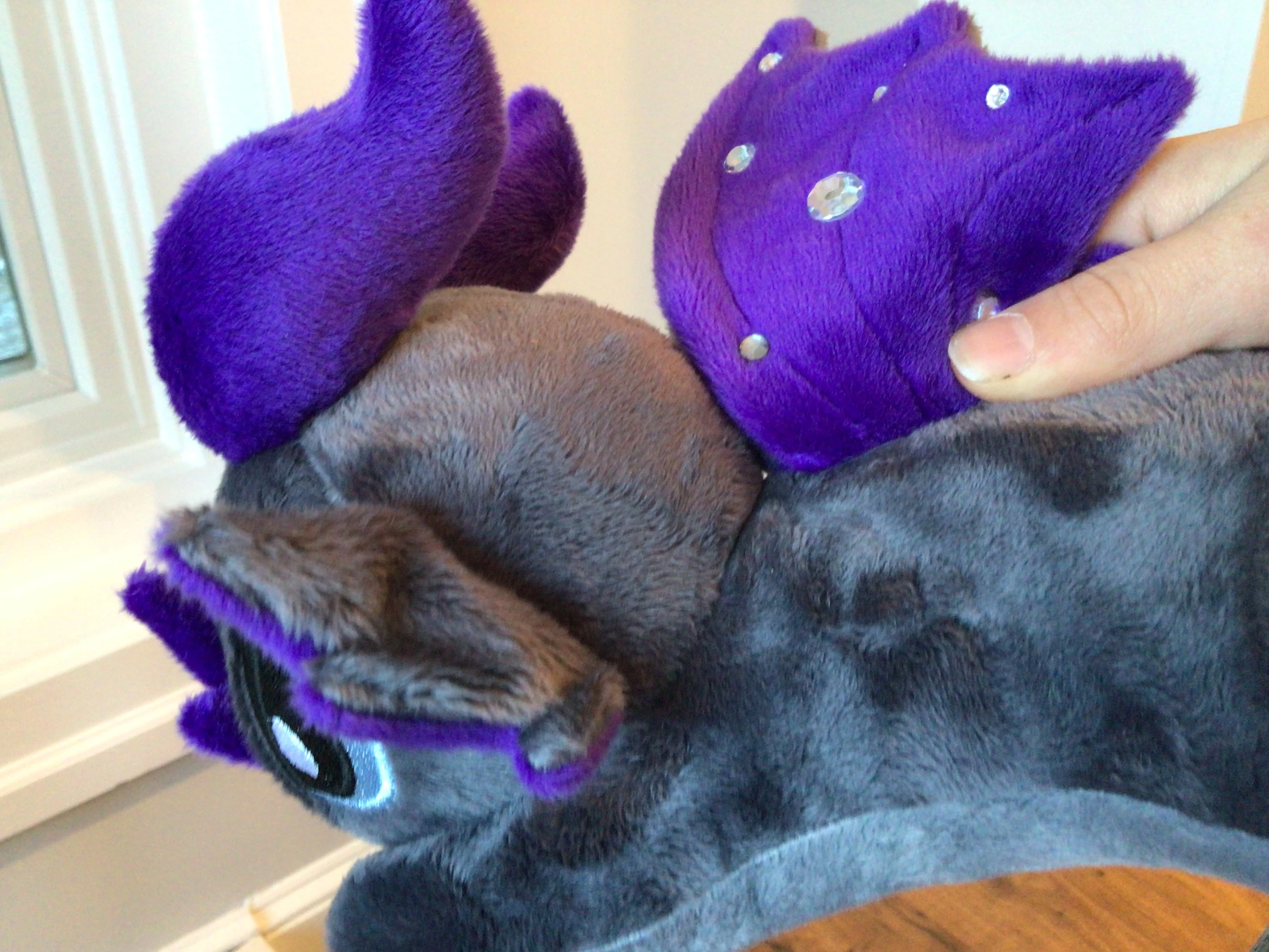 EEEE EEE ️ ️ ️ ️ ️ | Fandom