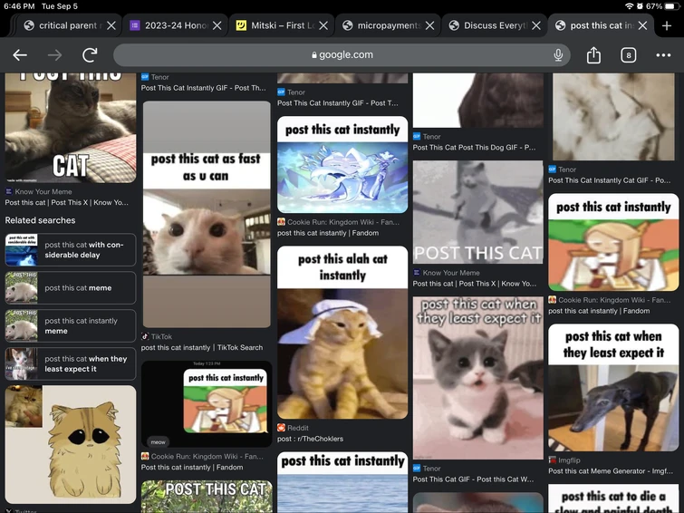 post this cat instantly | Fandom