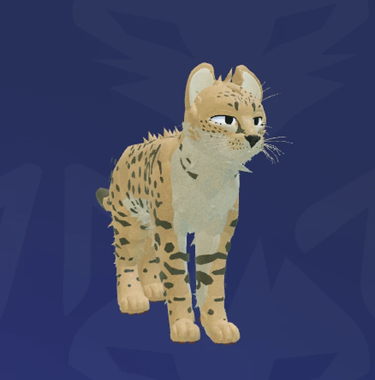 ocelot and cheetah morphs | Fandom