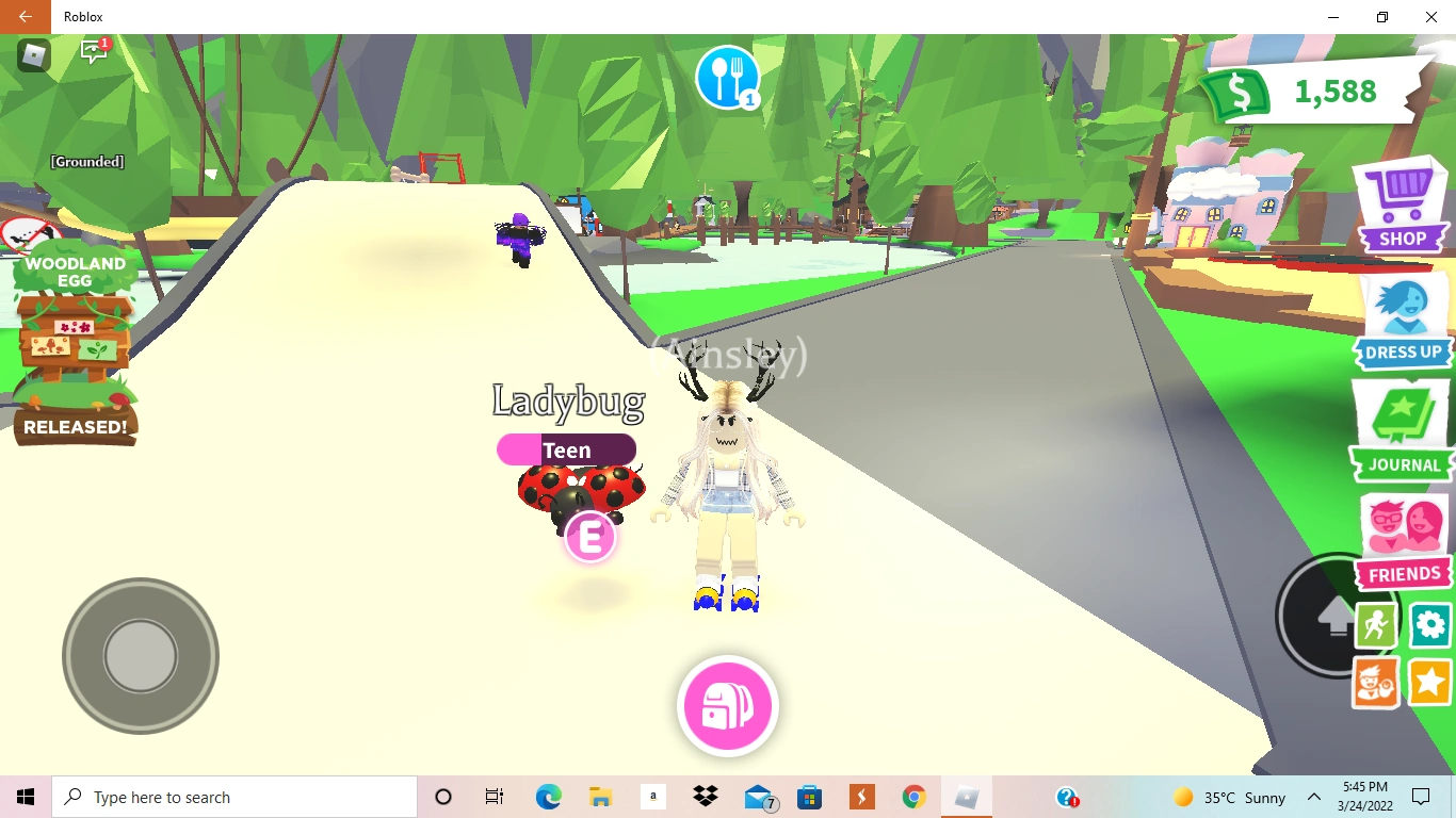 Me and my ladybug in adopt me | Fandom