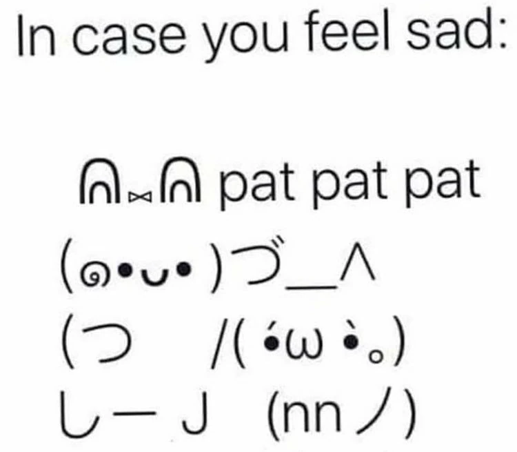 bro this is the homie check point | Fandom