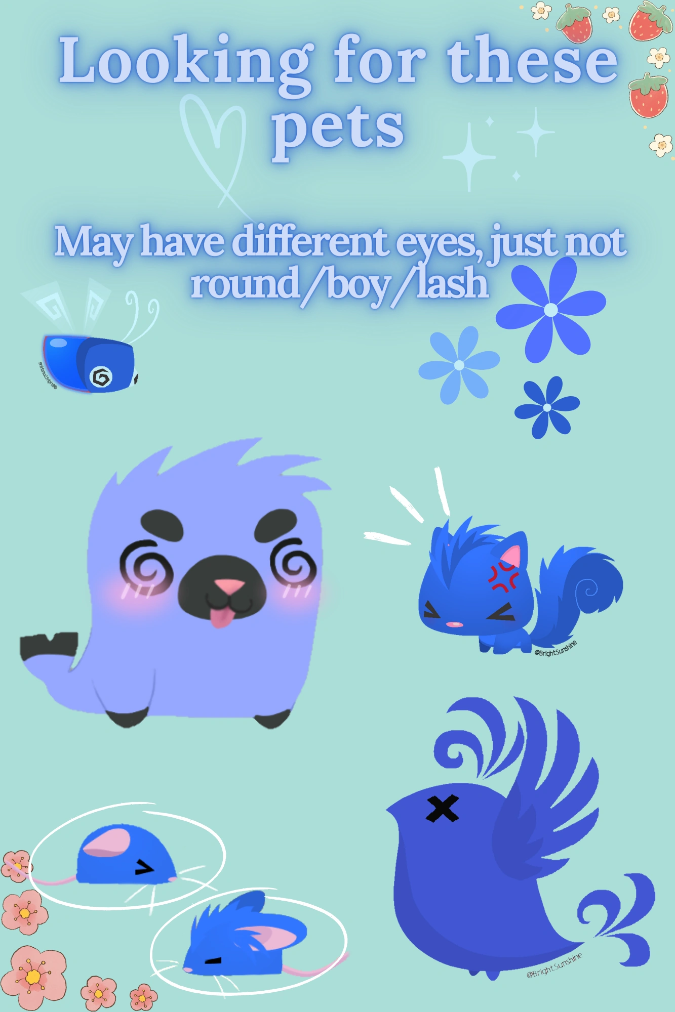 looking for solid blue pets | Fandom