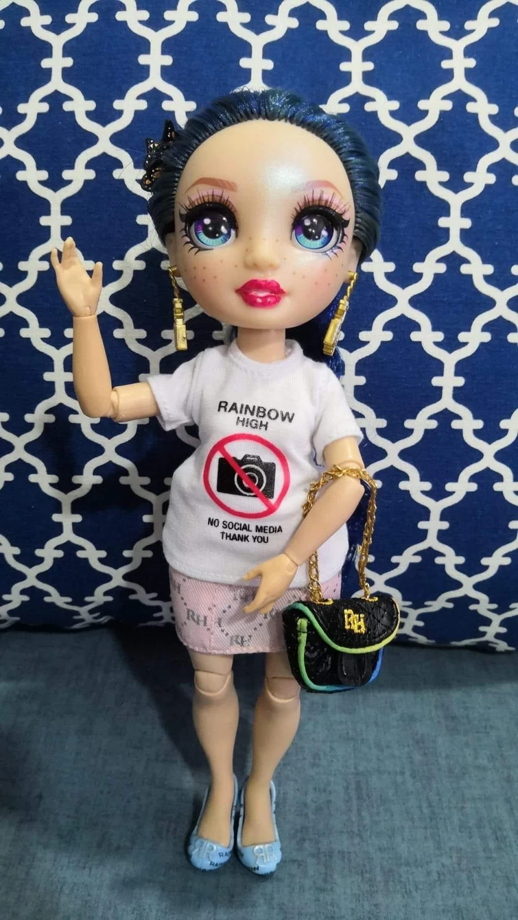 My very first and own Rainbow High custom doll! | Fandom