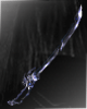 Lycanus Daikatana - Official Cabal Wiki