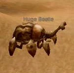 Huge Beetle - Official Cabal Wiki