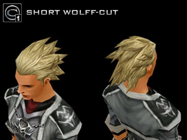 Hairstyles & Hair Color - Official Cabal Wiki