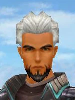 Premium Face style - Official Cabal Wiki