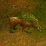 Dire Boar - Official Cabal Wiki